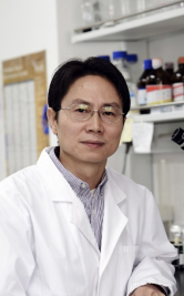 AccScience Publishing